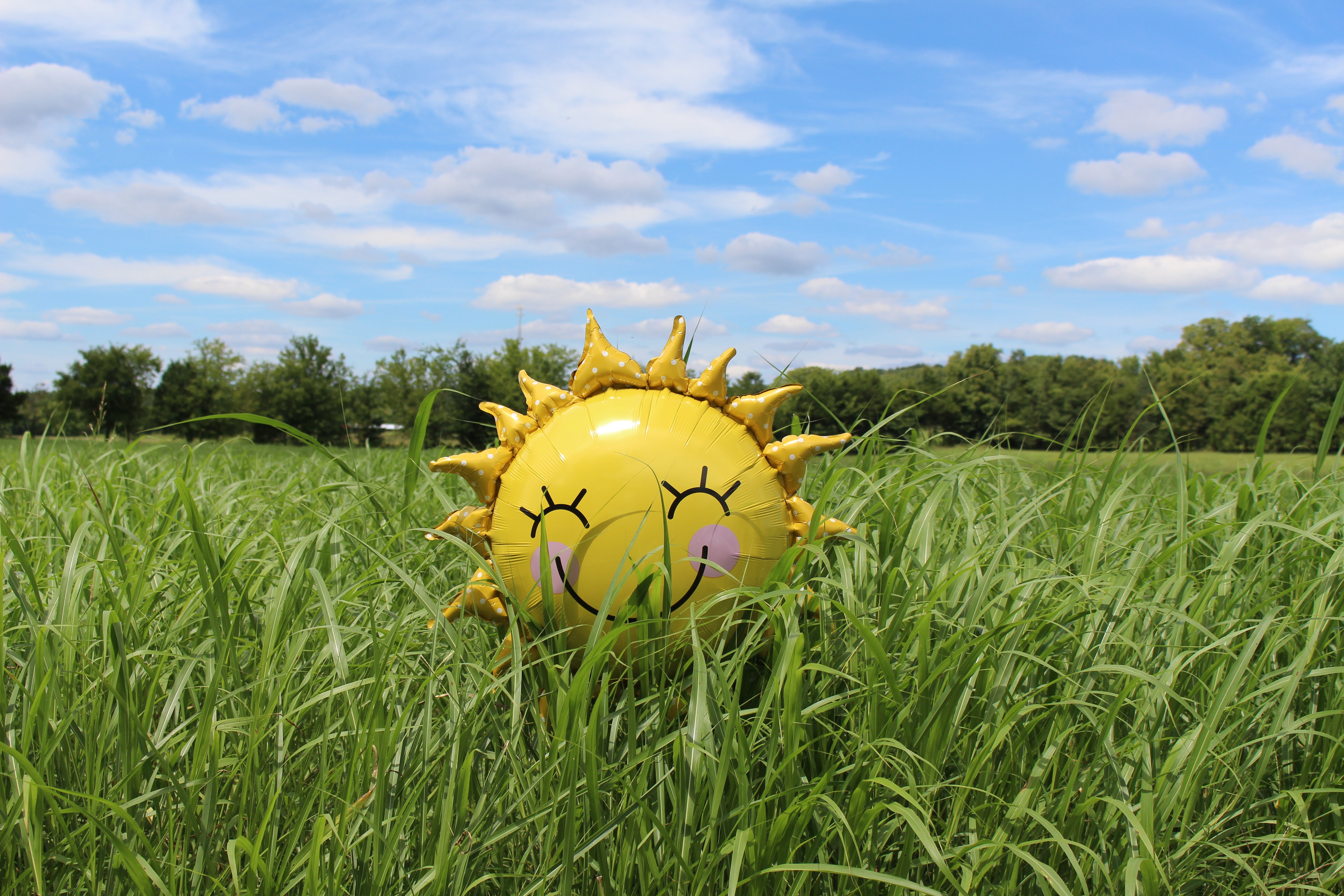 Sunny disposition ‘helps ward off anxiety and depression’ - Anxiety ...