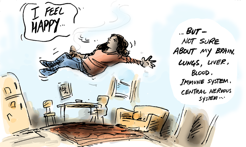 The effects of marijuana on your brain and body - Cannabis - Issues Online